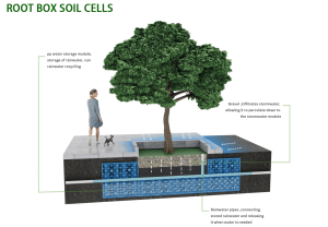 Soil Cells Vault: Revolutionizing Urban Tree Root Management - Yude ...